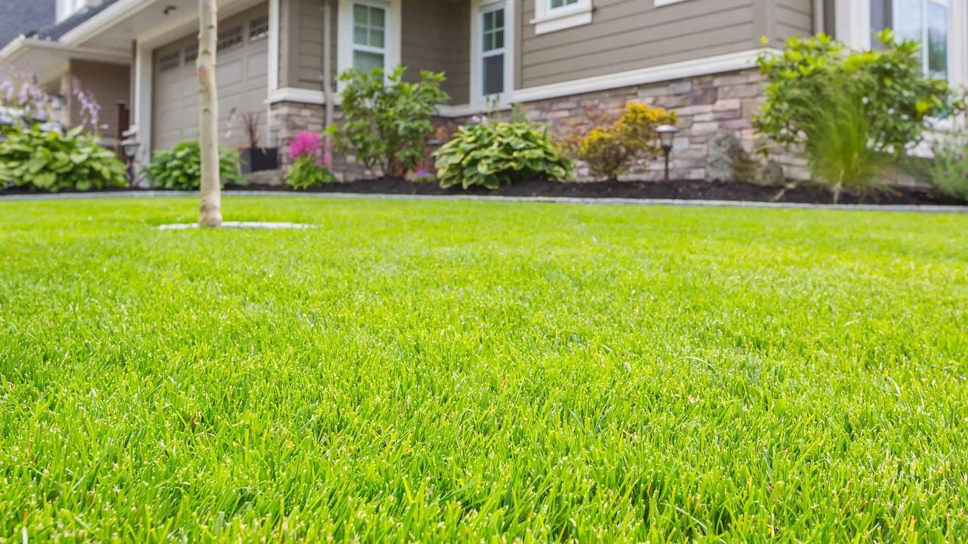 Want a Healthy & Beautiful Lawn? Invest in Fertilization & Weed Control ...